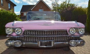 Pink pun Bisa Tampil Maskulin | Pacific Paint